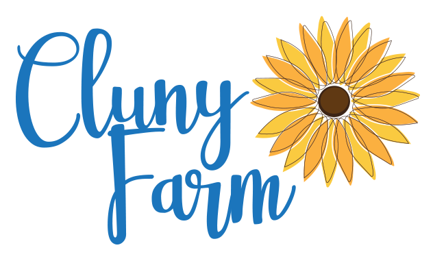 A home for people with special needs — Cluny Farm